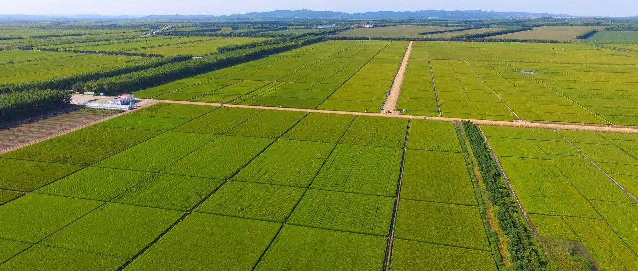 Agricultural remote sensing monitoring: providing technological support ...